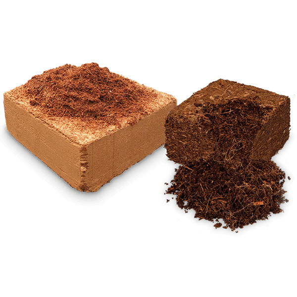 Premium coconut blocks and bubstrates for professional cultivators